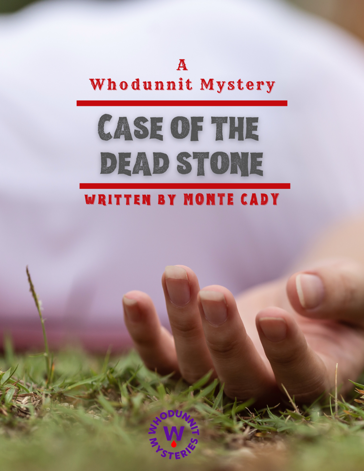 Case of the Dead Stone - Whodunnit Mysteries